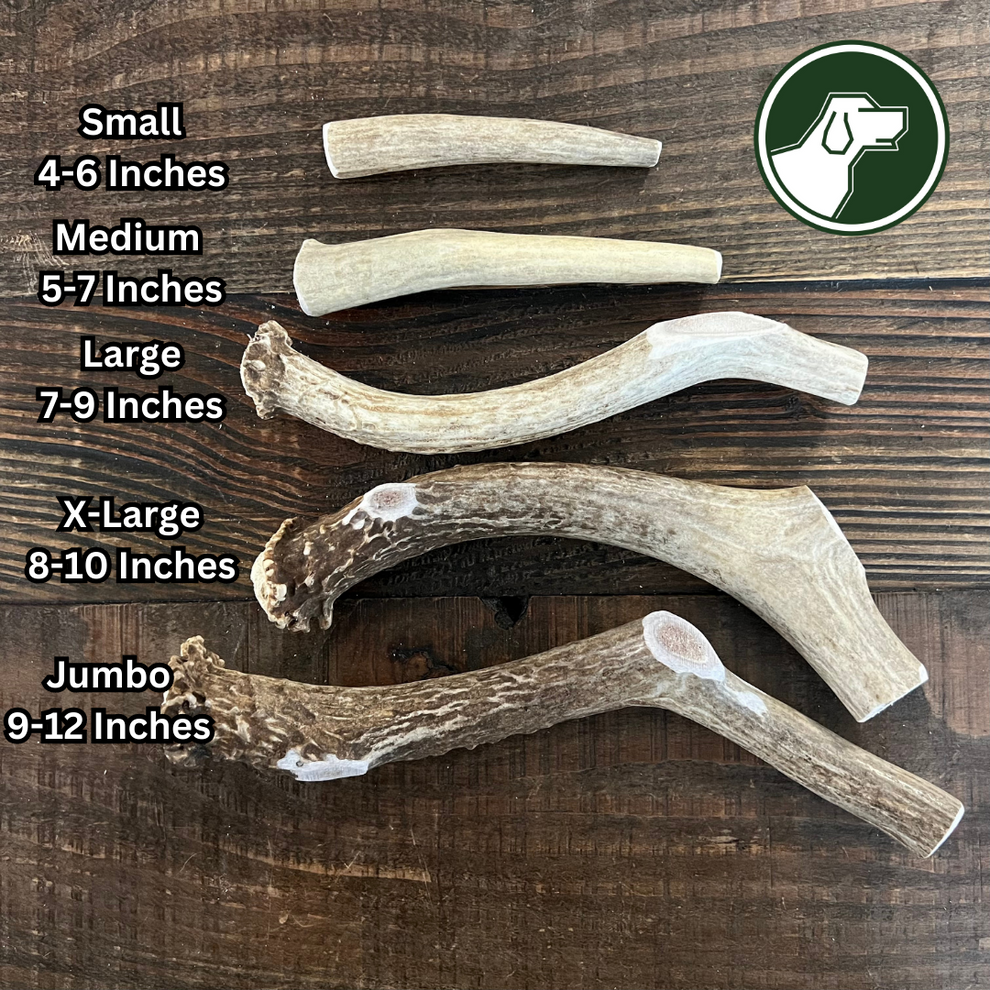 Jumbo Deer Antler – Ruff Valley
